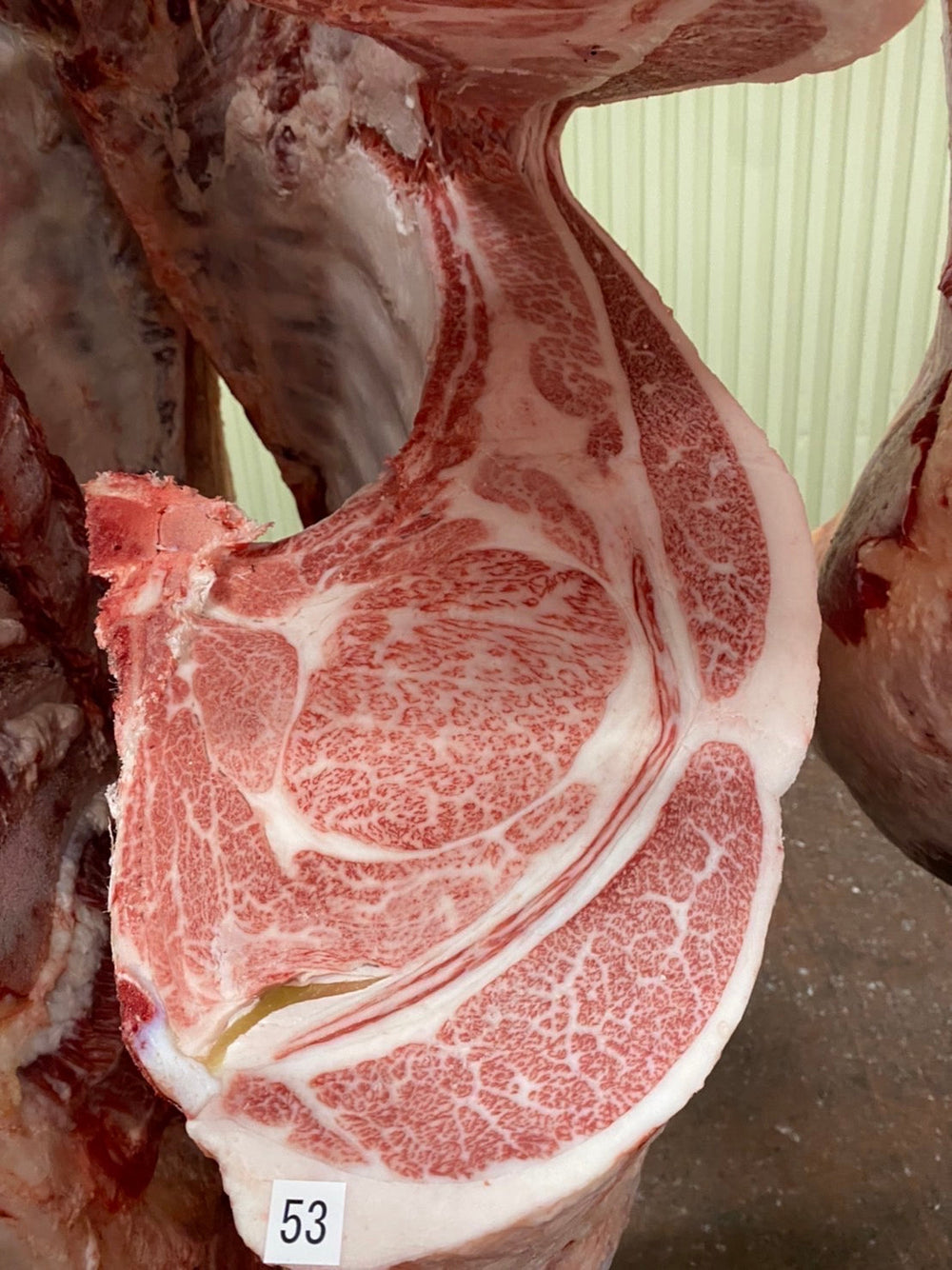 NIKUJILLE - Arita Wagyu Miyazaki Wagyu Supplier from Japan