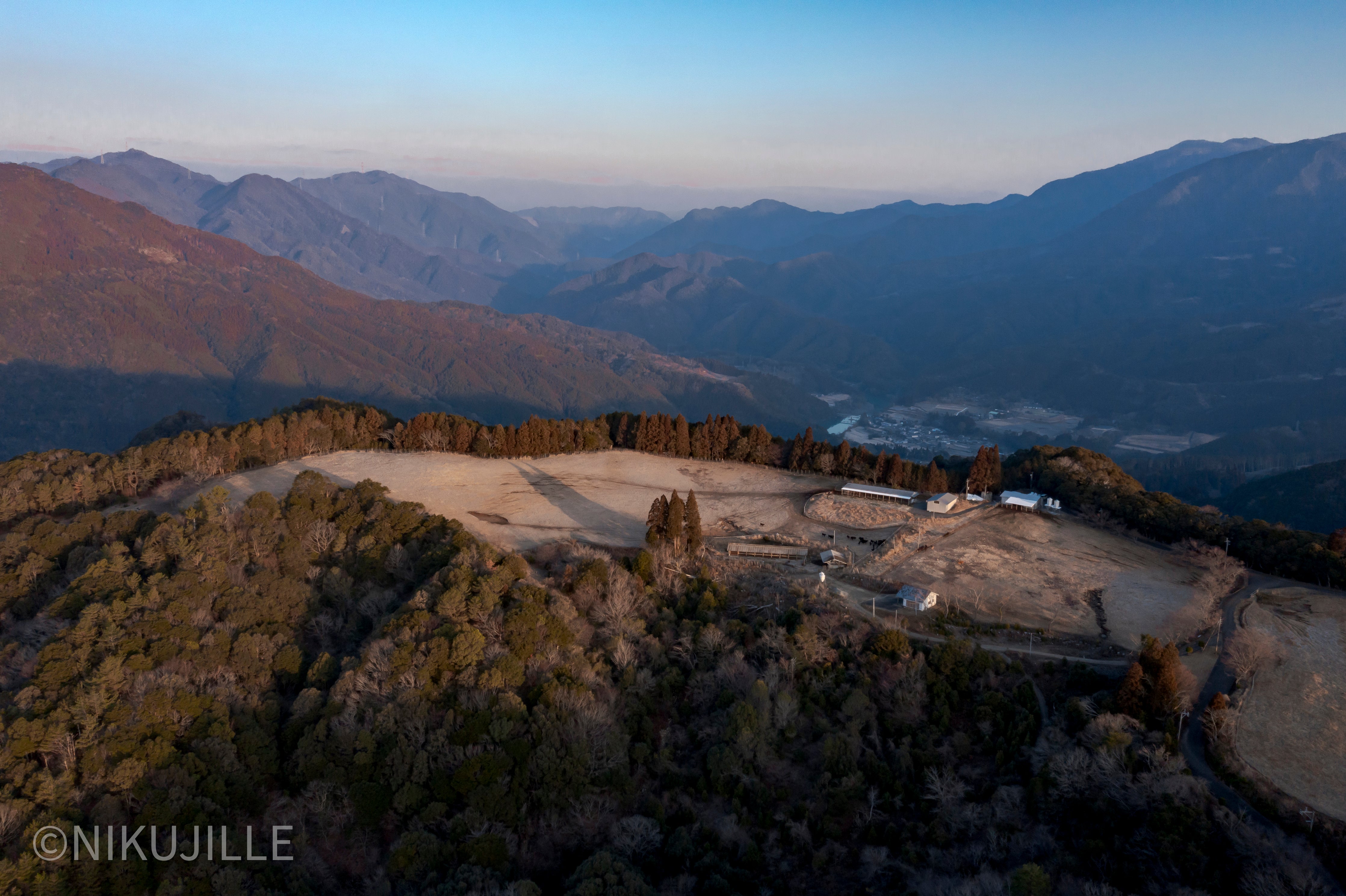 NIKUJILLE - Arita Wagyu Miyazaki Wagyu Supplier from Japan